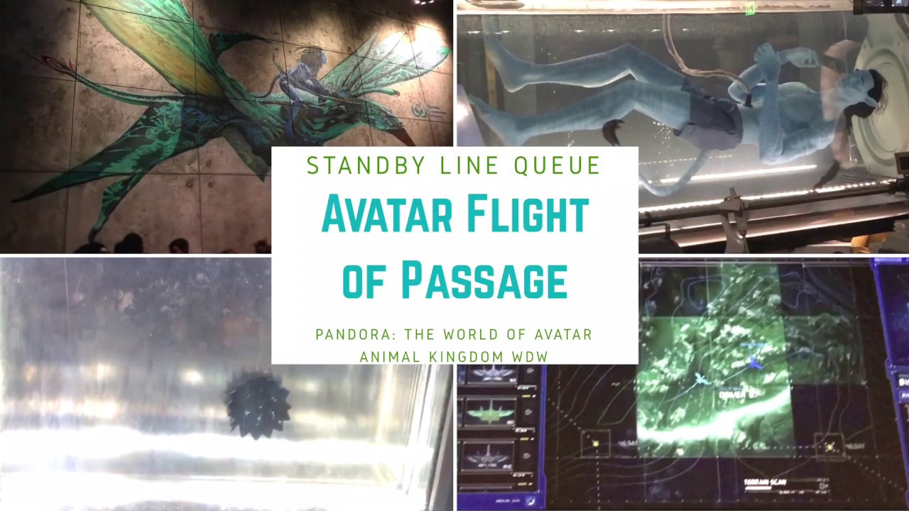 4K Standby Line Queue of Avatar Flight of Passage in Animal Kingdom ...