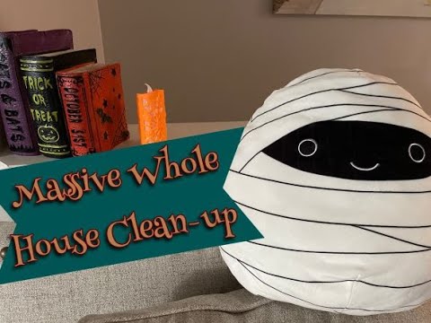Massive Whole House Cleaning