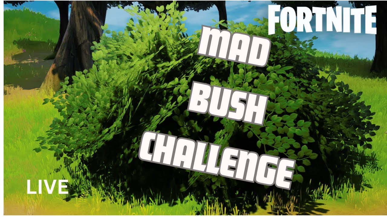 Sean T Wright - Mad Bush Challenge in Fortnite! - YouTube