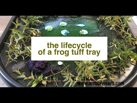 Arthurwears: How to set up a Life cycle of a Frog Tuff Tray Pond