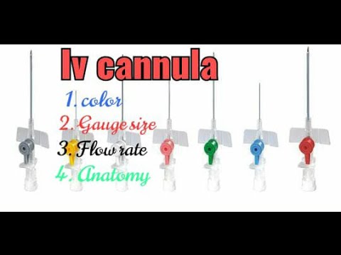 IV CANNULA Size, Color, Flow rate |anatomy - YouTube