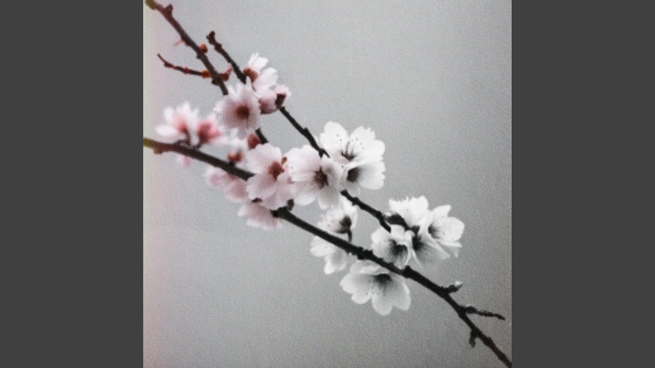 Same Sky, Different Time - YouTube