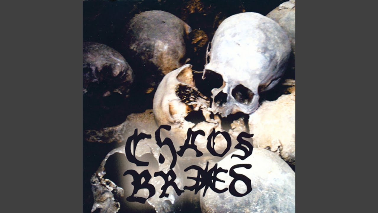 Rotting Alive - YouTube