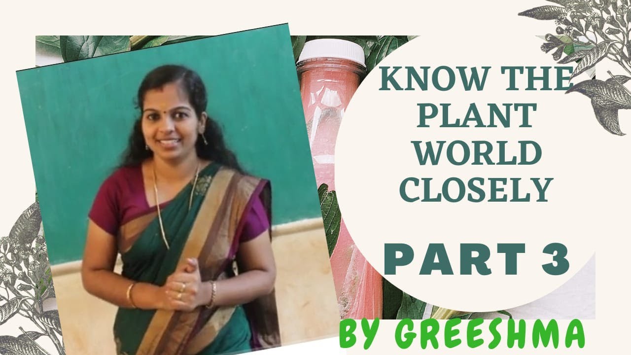 5th BASIC SCIENCE ENGLISH MEDIUM Part 03 Greeshma Teacher 5th-basic-science-english-medium-part-03-greeshma-teacher