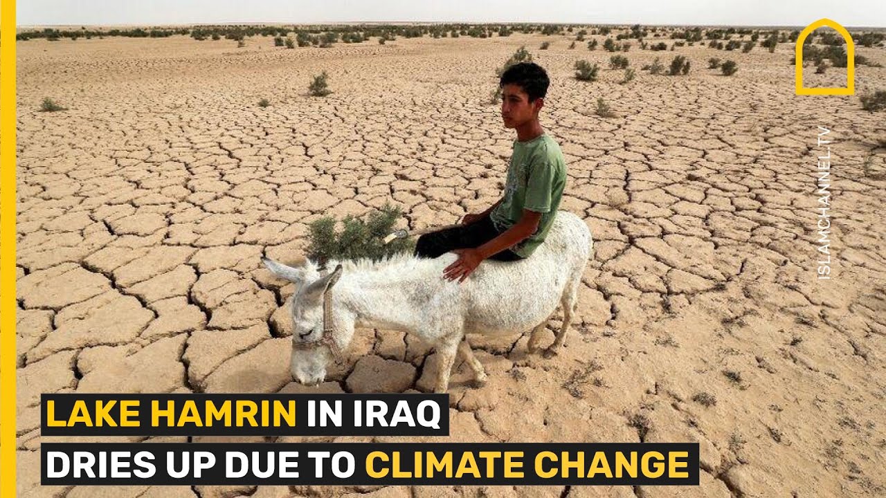 Lake Hamrin in Iraq dries up due to climate change - YouTube
