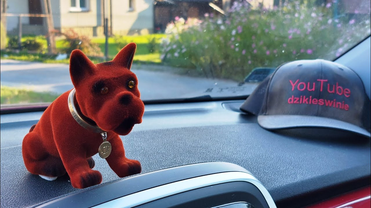 Car Dashboard Wobbly Dog - Azor - YouTube