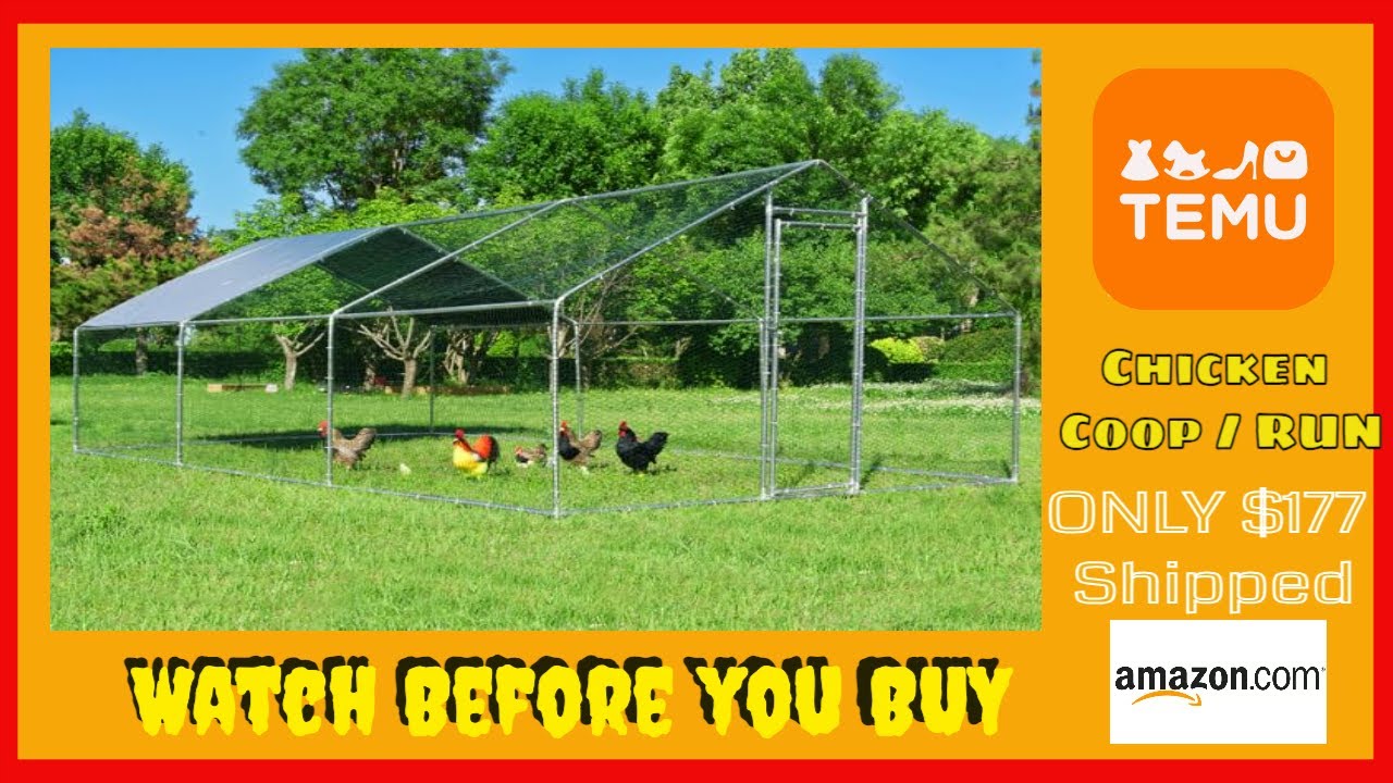 S2 E14 Watch before you buy this Temu Chicken Run and Coop Build Part 1 ...