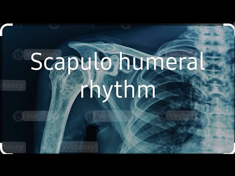 kinetics and kinematics of Glenohumeral joint,scapulo humeral rhythm ...