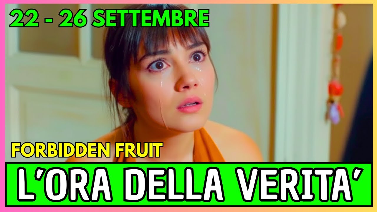 FORBIDDEN FRUIT ANTICIPAZIONI: UN SEGRETO CHE DISTRUGGE ZEYNEP.."SEI ...