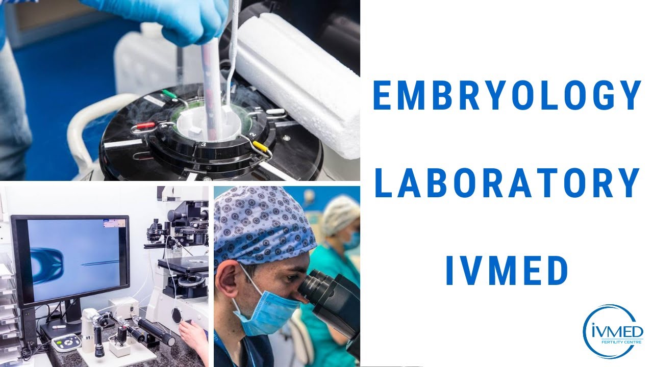 Embryology laboratory: cryostorage and work arrangement | IVMED ...