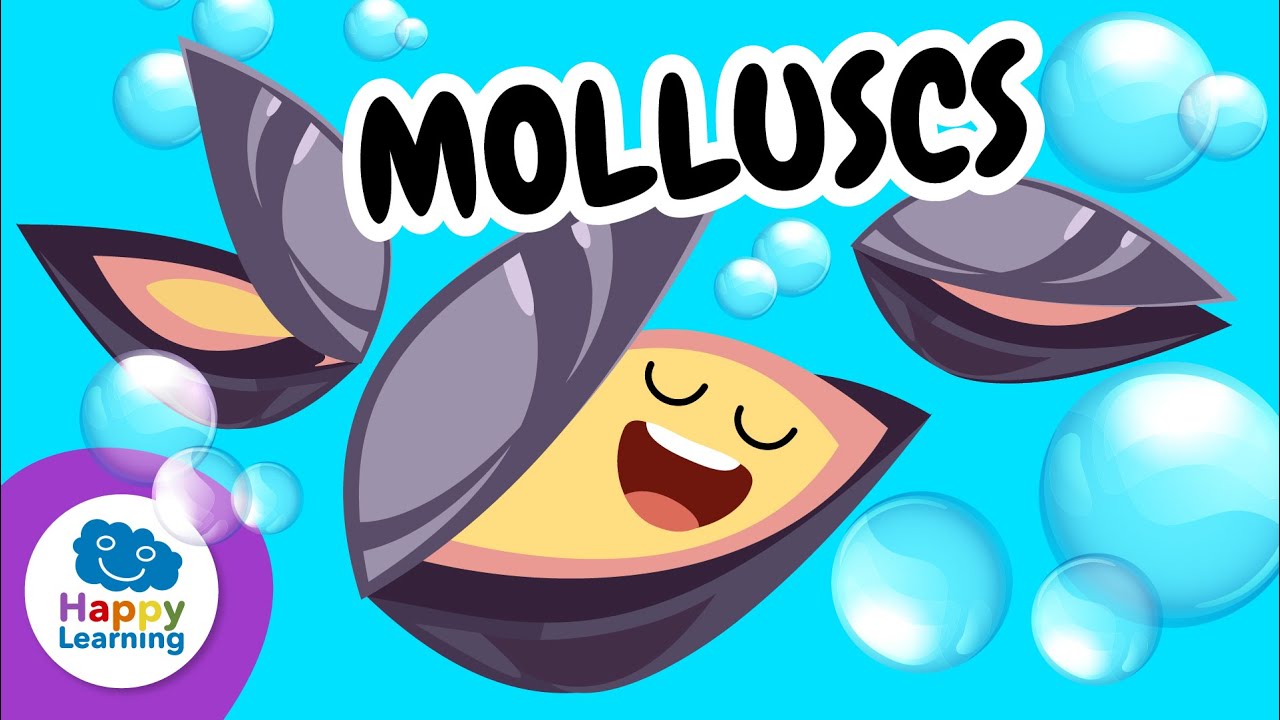 🐚🦑 MOLLUSCS | Marine Animals for Kids | Educational Videos for Children ...