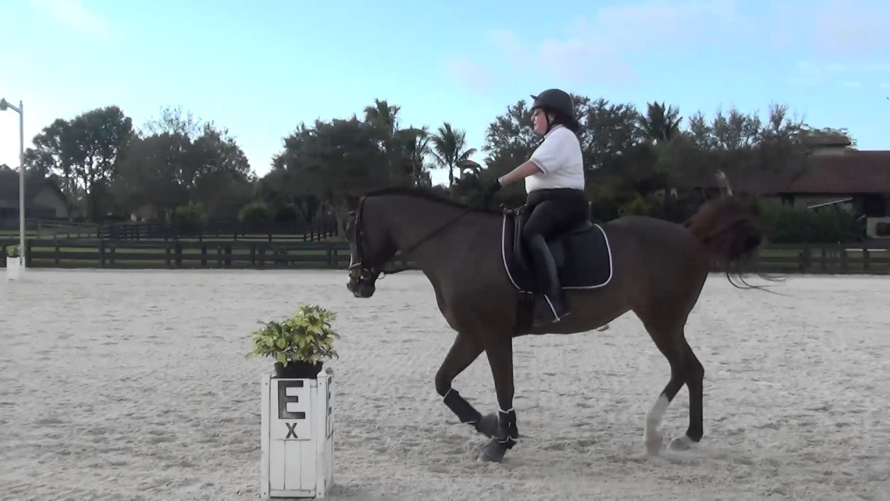 Susan 170107 Volker Brommann Clinic - YouTube