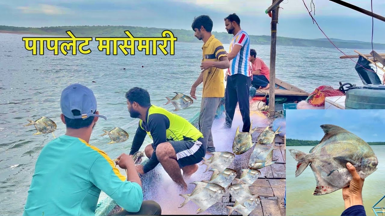 Deep sea pomfret fishing || pomfret fish || ⁠@bablusolkar - YouTube