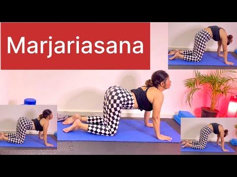 Day - 73/90 days yoga | marjariasana ( cat and cow pose) kaise kare iske kya faayede hai? Golo ...