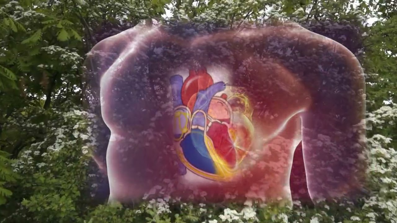 ΤΟ ΦΑΡΜΑΚΕΙΟ ΤΗΣ ΦΥΣΗΣ - ΤΟ ΚΑΛΥΤΕΡΟ ΒΟΤΑΝΟ ΓΙΑ ΤΗΝ ΚΑΡΔΙΑ -ΤΟ ...