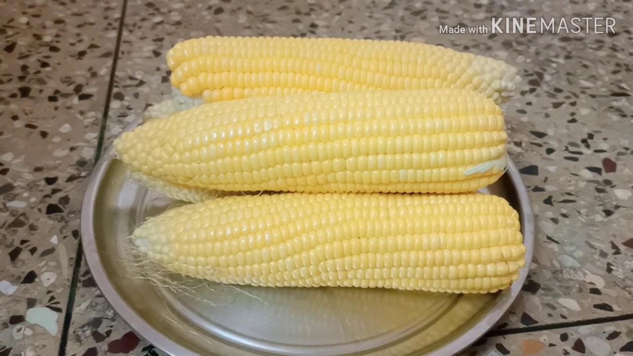 Homemade sweet corn recipe# how to cook sweet corn easily at hom## corn ...