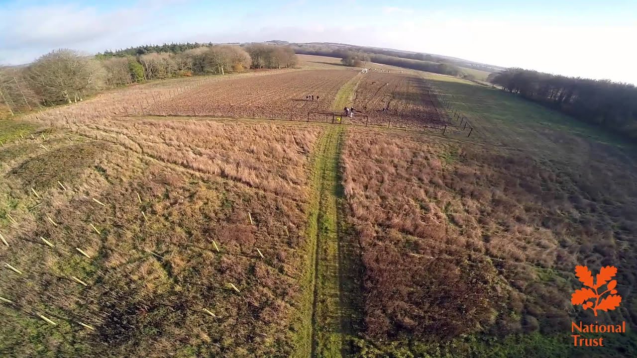 National Trust, Volunteer Tree Planting at Slindon's: 'Great Northwood ...