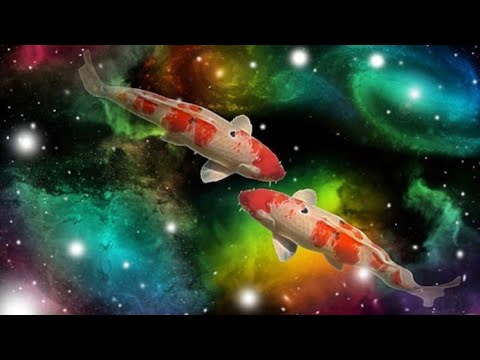 SHAPE-SHIFTING FISH LIKE UFO CAUGHT SWIMMING THROUGH THE SOUTH CENTRAL ...