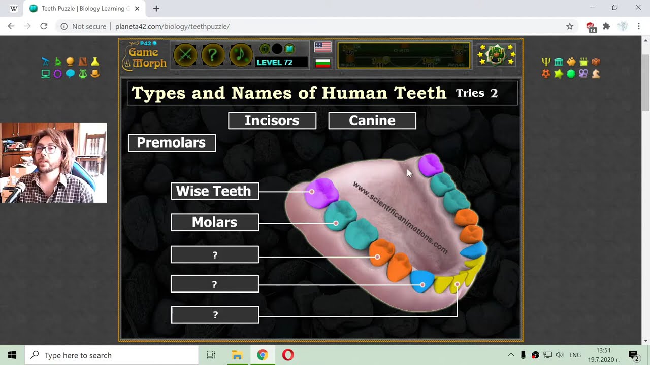 The Names of the Teeth - Interactive Biology Lesson 🦠🎥🎓 - YouTube