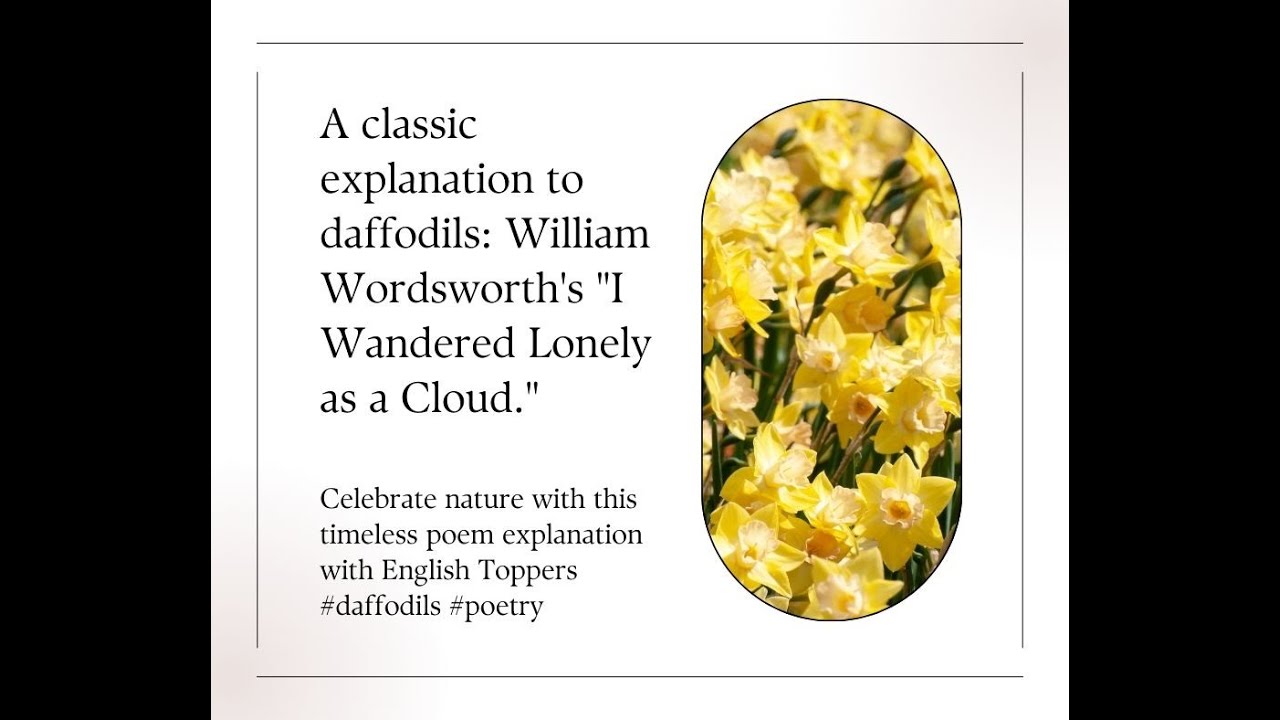 Daffodils By William Wordsworth - Explained - YouTube