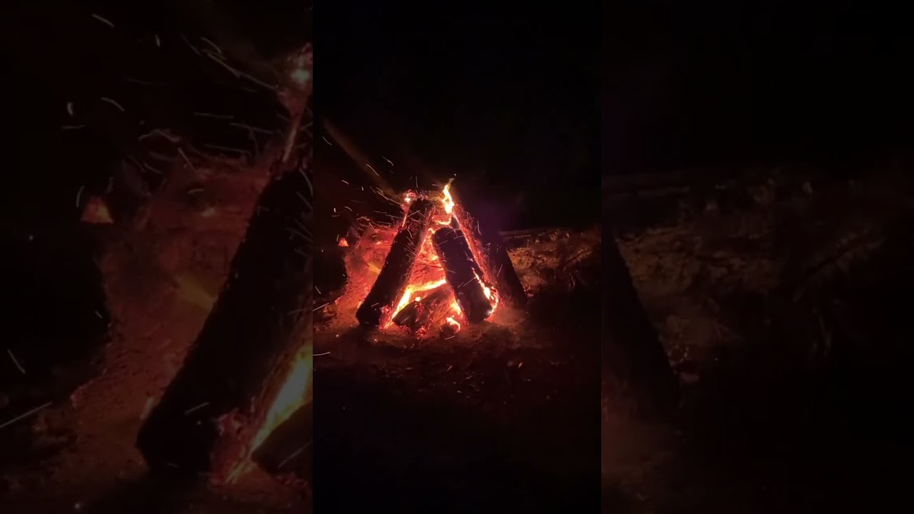 Wheat's Game Calls - Lil Wheat Singing "You Look So Good In Love ...