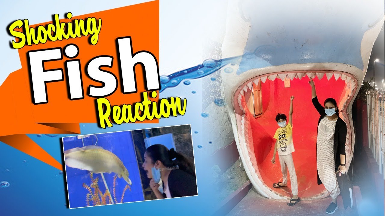 I am Surprised | Unexpected Fish Shocking Reaction at Aquarium Tour ...