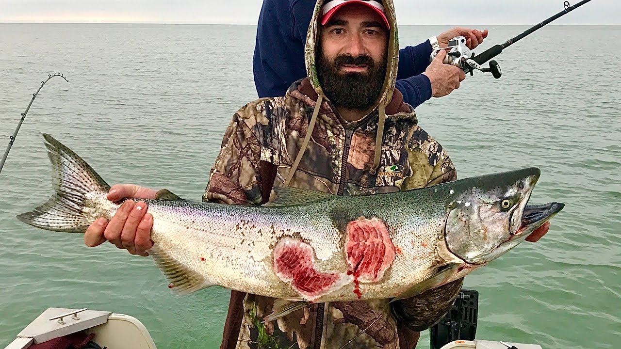 Lake Ontario Salmon Fishing Adventure - Crazy Lamprey Injury - YouTube