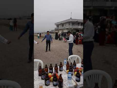 Roman düğünü malkoçoğlu oynarken