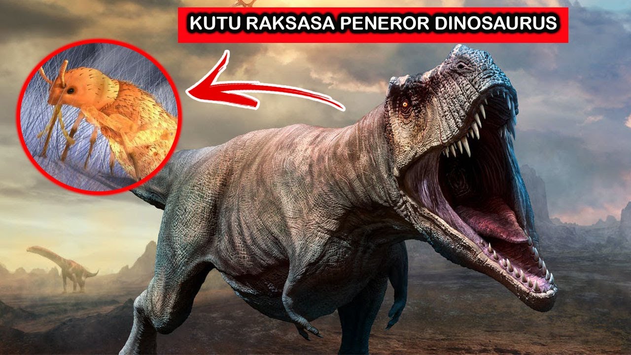 Ayam Ternyata Keturunan Tyrannosaurus Rex! Fakta Unik Tentang ...