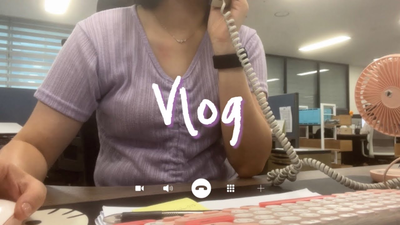 Vlog 직장인 브이로그 중소기업 경리직 브이로그 주중엔 사무직 경리 주말엔 고깃집 알바생 퇴근 후 일상망원