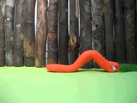 Stop Motion-Butterfly - YouTube