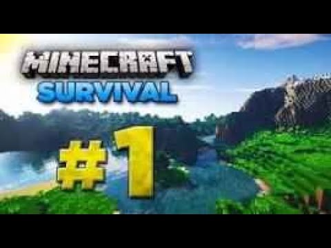 Survival Minecraft walkthrough part 1 - YouTube