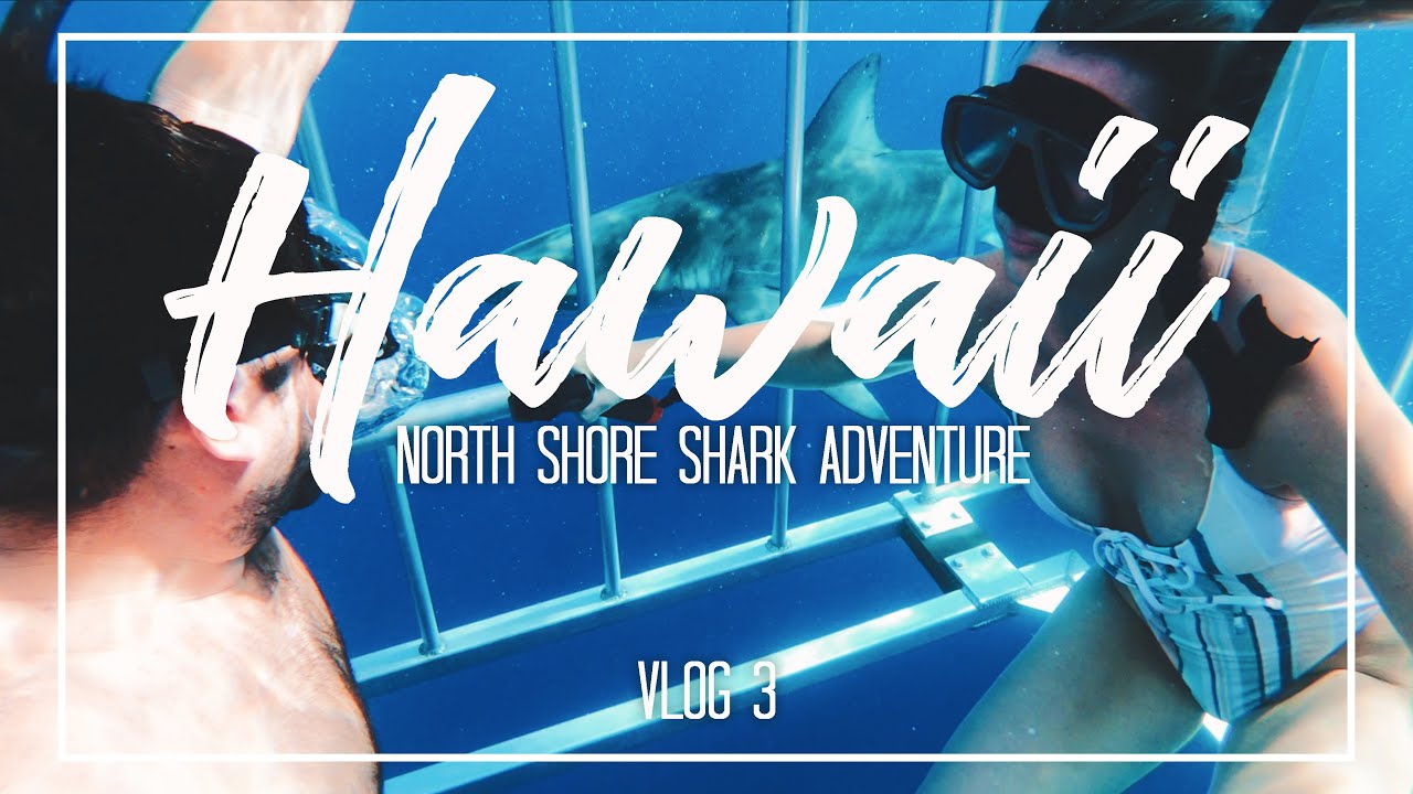 SHARK CAGE NORTH SHORE SHARK ADVENTURE + Dharma Initiative || Hawaii ...