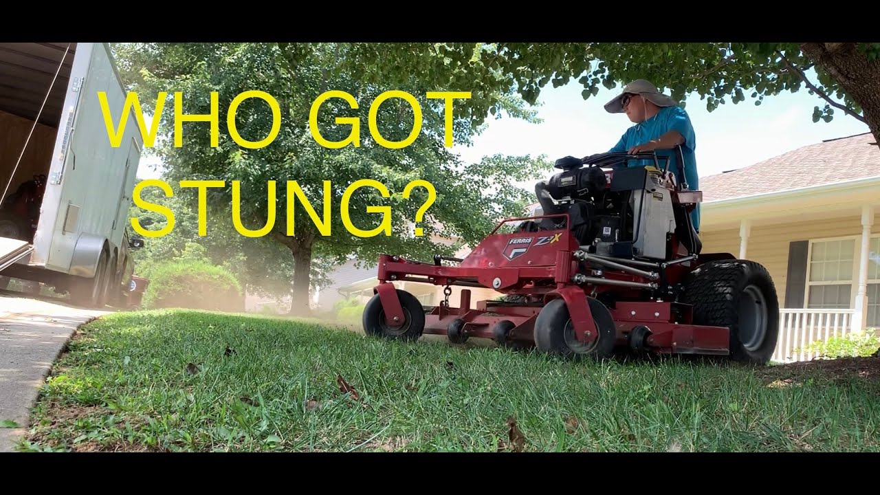 Getting stung by bees! Mowing and fertilizing! - YouTube