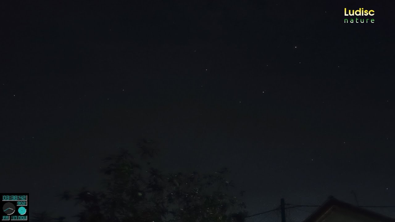 LIVE Leonids meteor shower observed with a Sony IMX 682 sensor - YouTube
