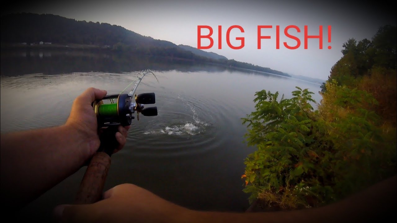 Pretty good morning bank fishing! - YouTube