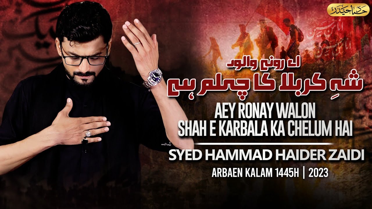 SHAH E KARBALA KA CHEHLUM HAI | ARBAEN NEW NOHA 2023 | SYED HAMMAD ...