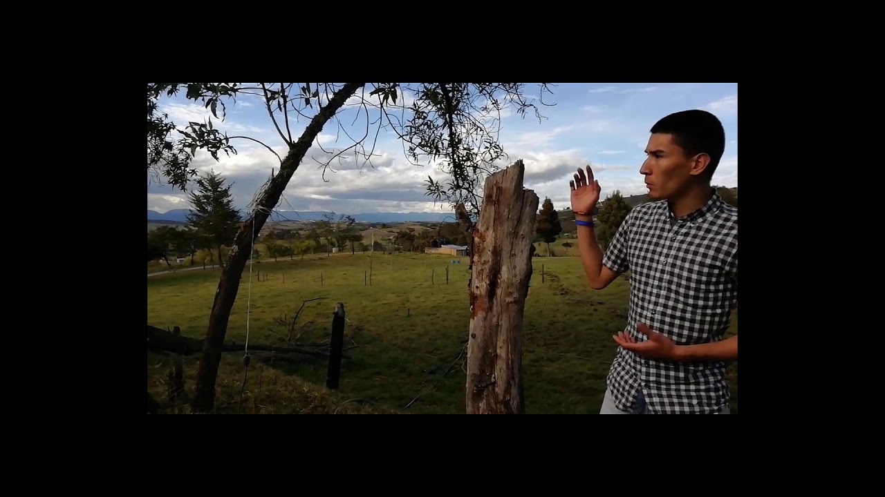 Nutrición - YouTube