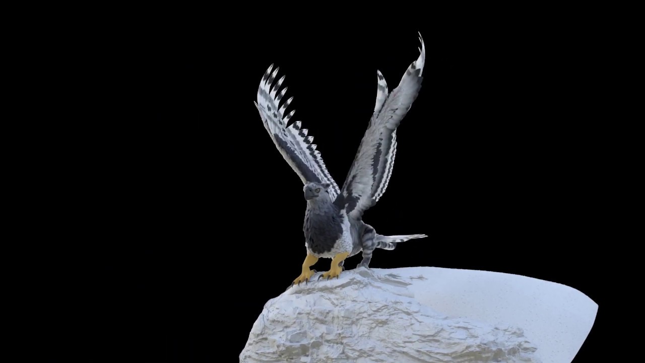 Gryphon run fly - YouTube