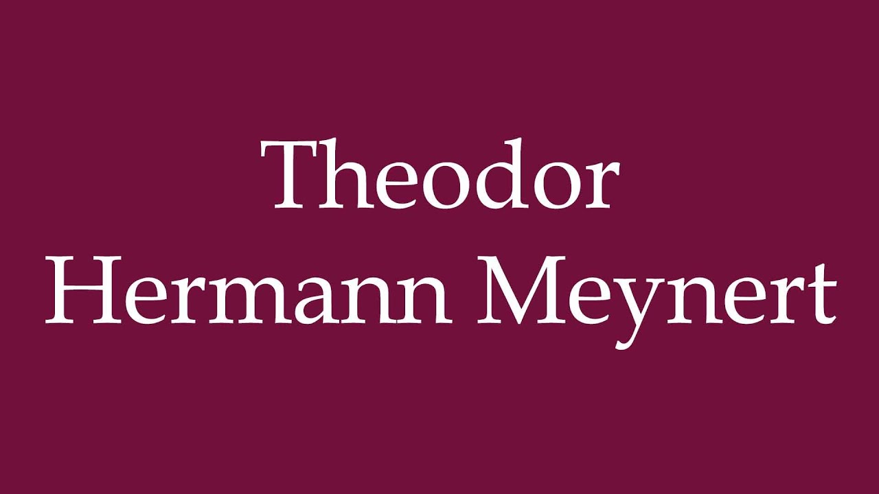 How to Pronounce ''Theodor Hermann Meynert'' Correctly in German - YouTube