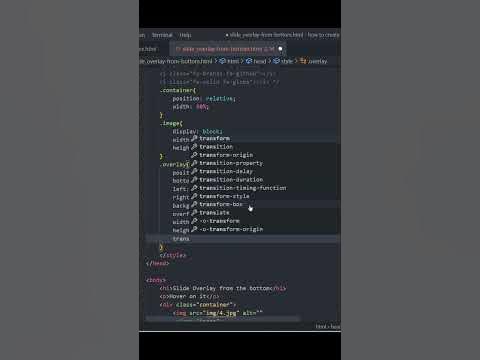 How to create image overlay hover slide effects(bottom) | Html & CSS #html #css #hover #shorts ...