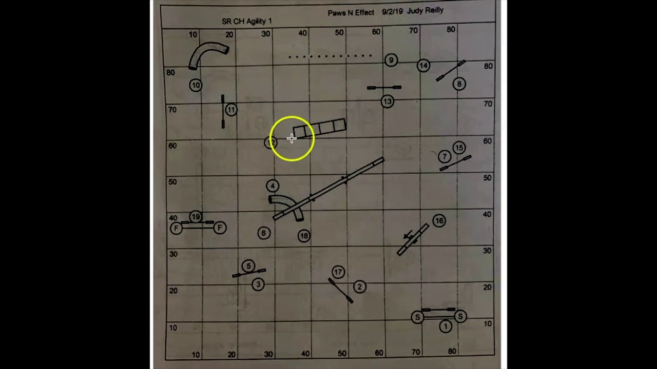 Course analysis! UKI senior/champ level agility - YouTube