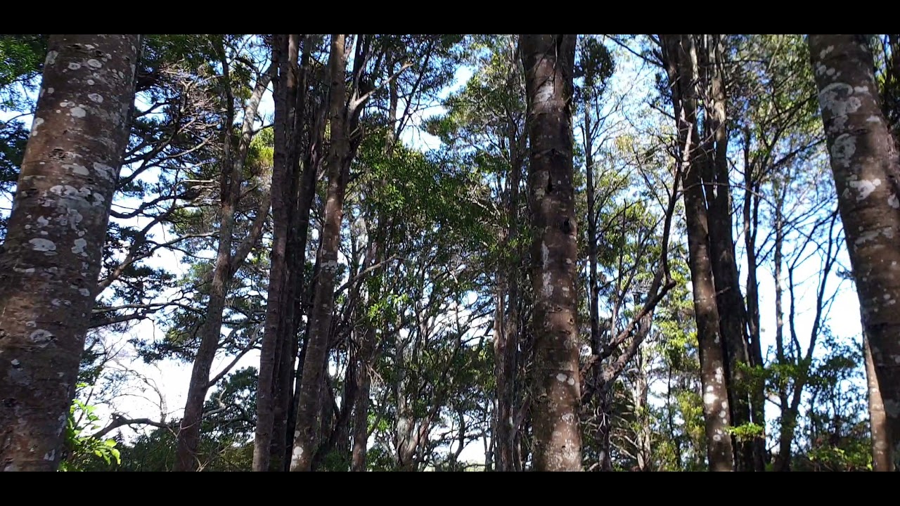 savalivali mai🥰 - YouTube