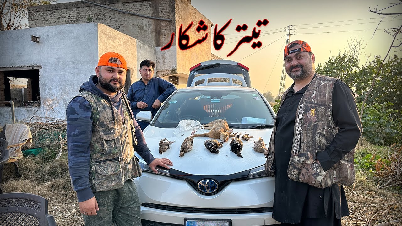 Francolin and Partridge Hunting 2023 | Teetar ka Shikar | Best Hunter ...
