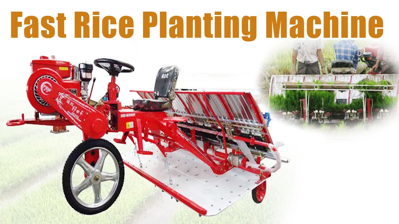 Revolutionizing Fast Rice Farming: Introducing Our Rice Transplanter ...