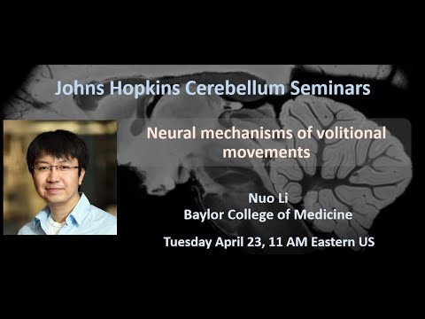 Nuo Li: Neural mechanisms of volitional movement - YouTube