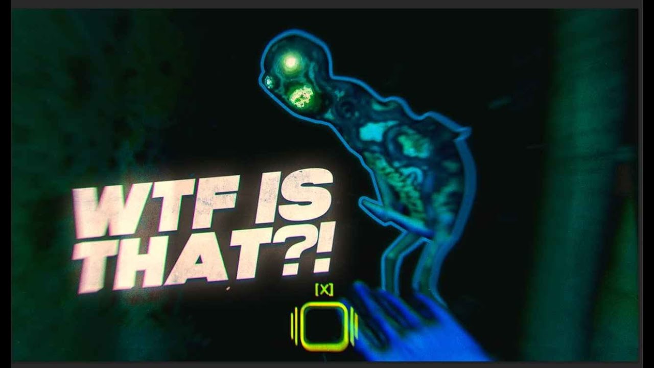 Moth Madness in Murky Divers - YouTube