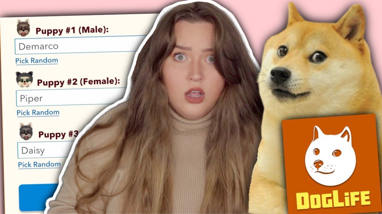 PLAYING BITLIFE'S NEW GAME "DOGLIFE" FOR THE FIRST TIME! - YouTube