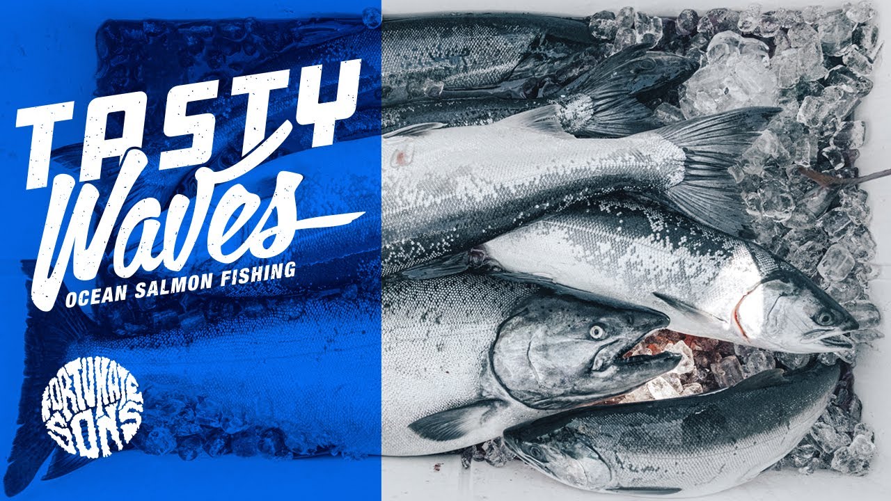 Tasty Waves & Ocean Salmon // song series #001 - YouTube