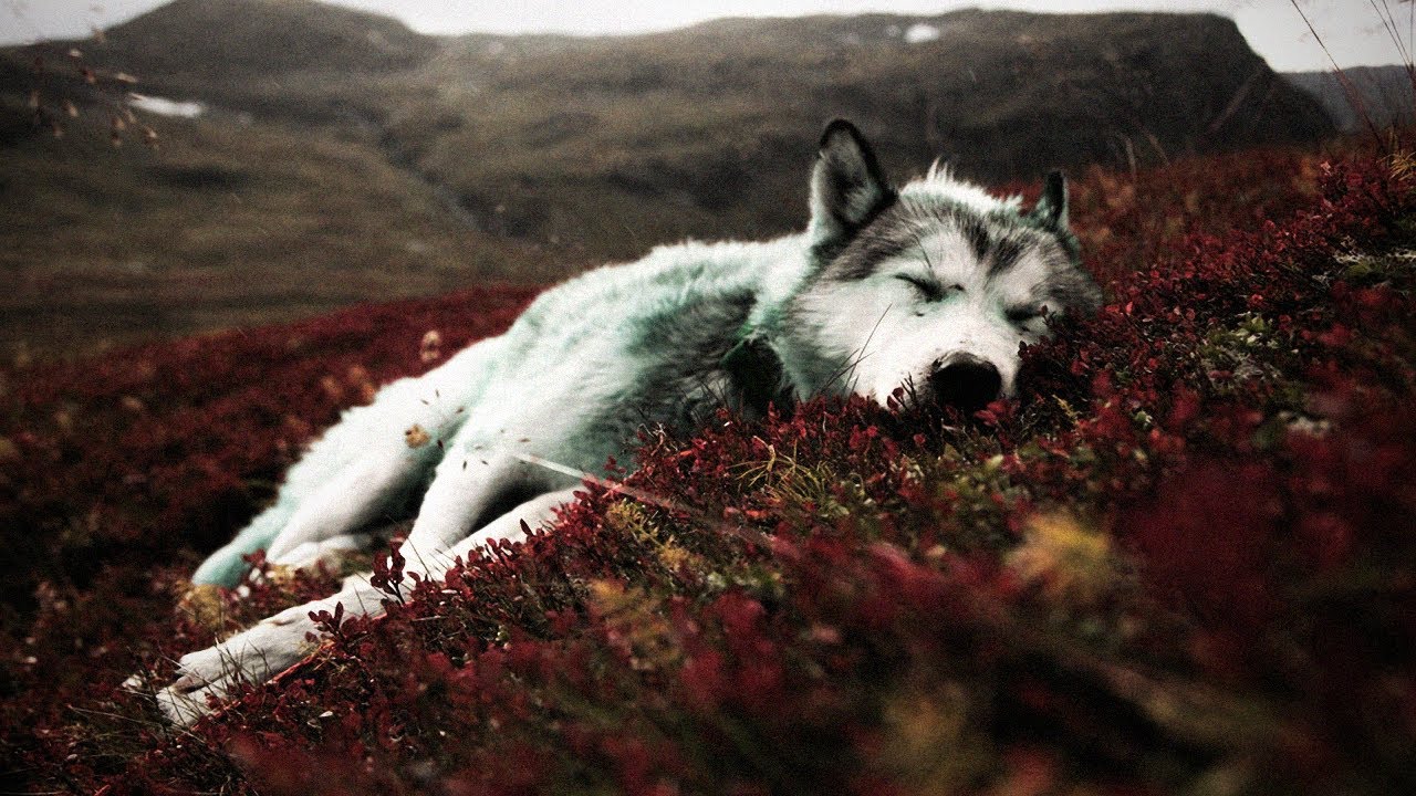 Free Chill Type Beat 2020 | "Sleepy" | Hip Hop Type Beat | Free Smooth ...